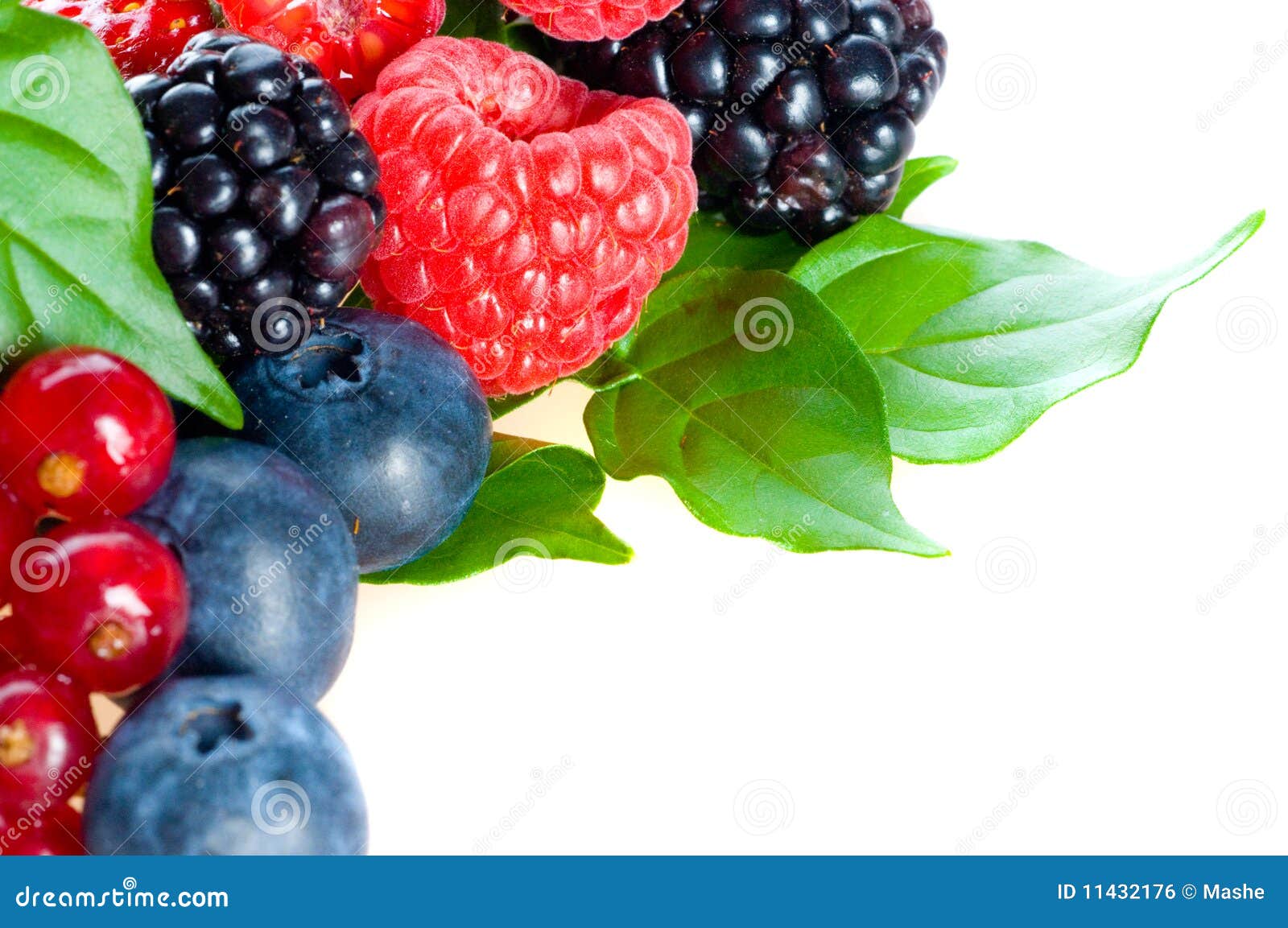Blackberry Raspberry Strawberry Blueberry Fruit Mix Royalty-Free Stock ...