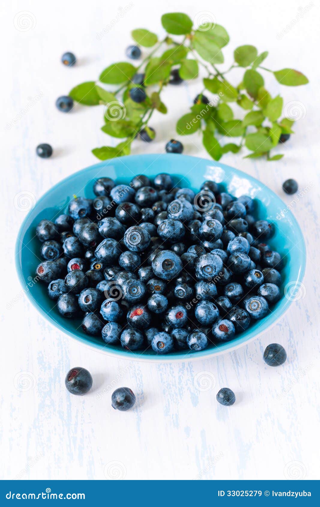 Blueberry stock image. Image of blue, medicinal, dessert - 33025279