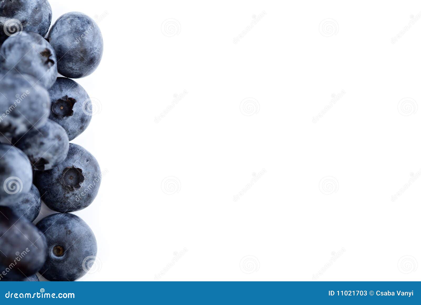 Blueberry border stock image. Image of berry, ripe, nature - 11021703
