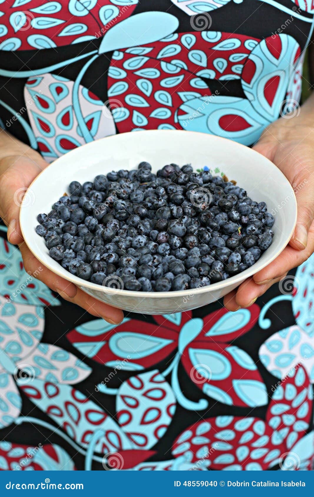 Blueberry in bowl stock photo. Image of ripe, summer - 48559040