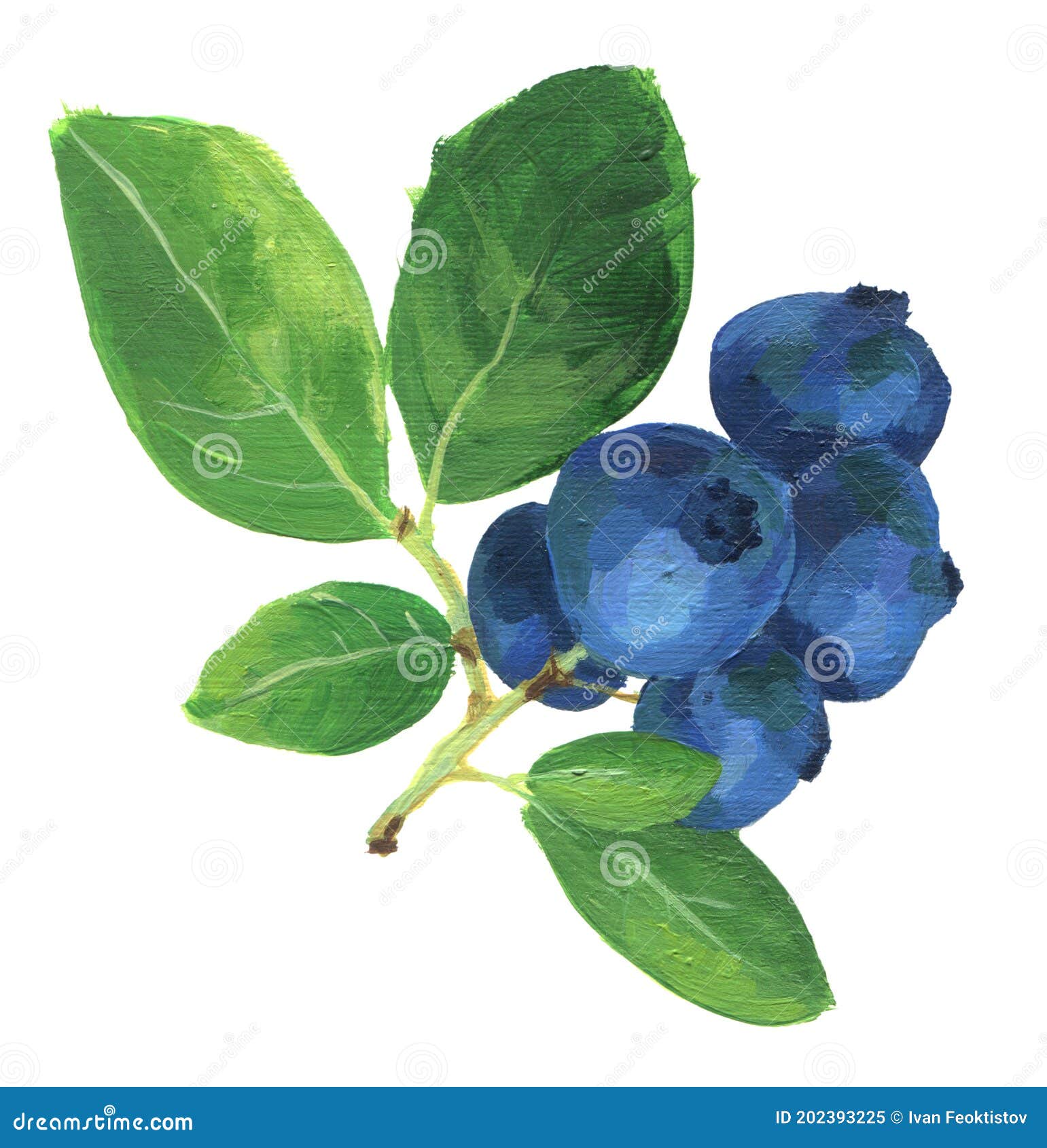 Blueberry Branch in Acrylic Stock Image - Image of blue, harvest: 202393225