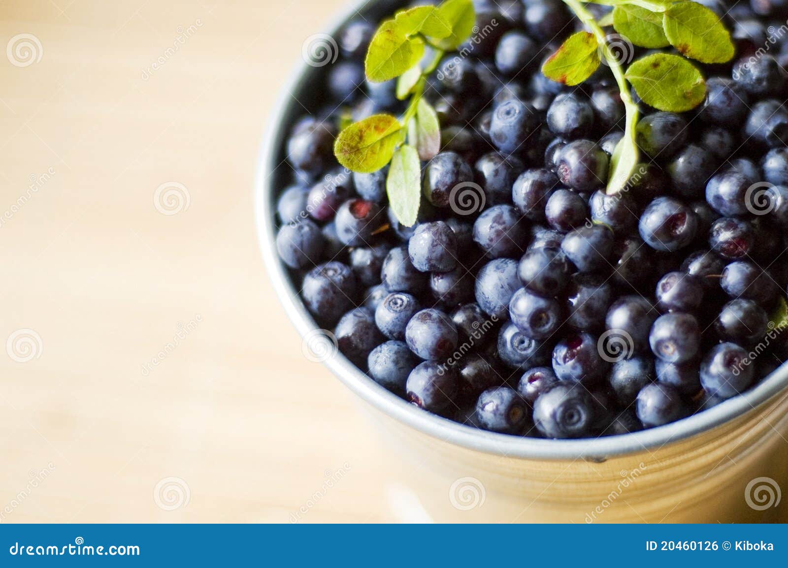 Blueberry in bucket stock photo. Image of blue, fresh - 20460126