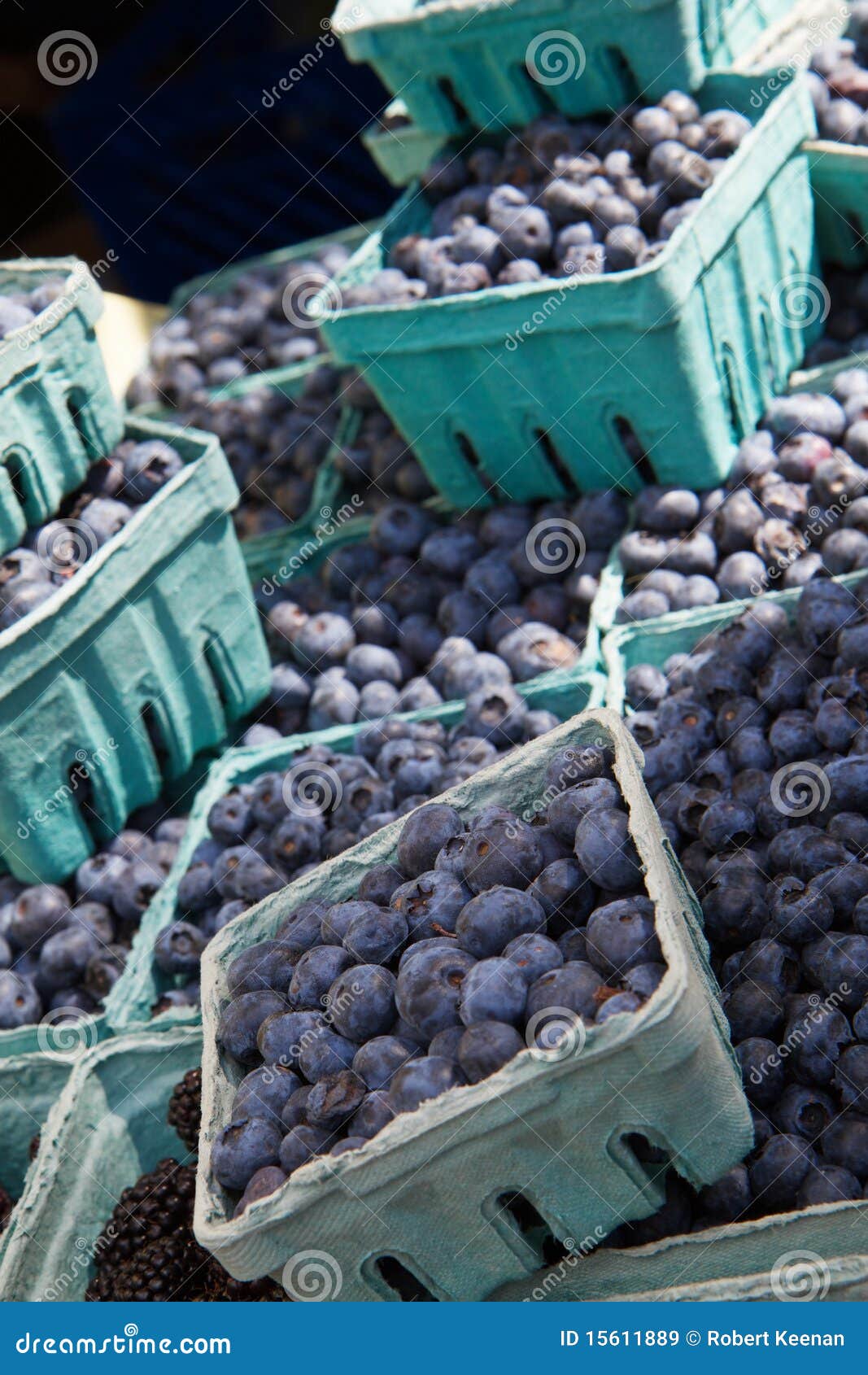 Blueberry cartons stock image. Image of boxes, abundance - 15611889