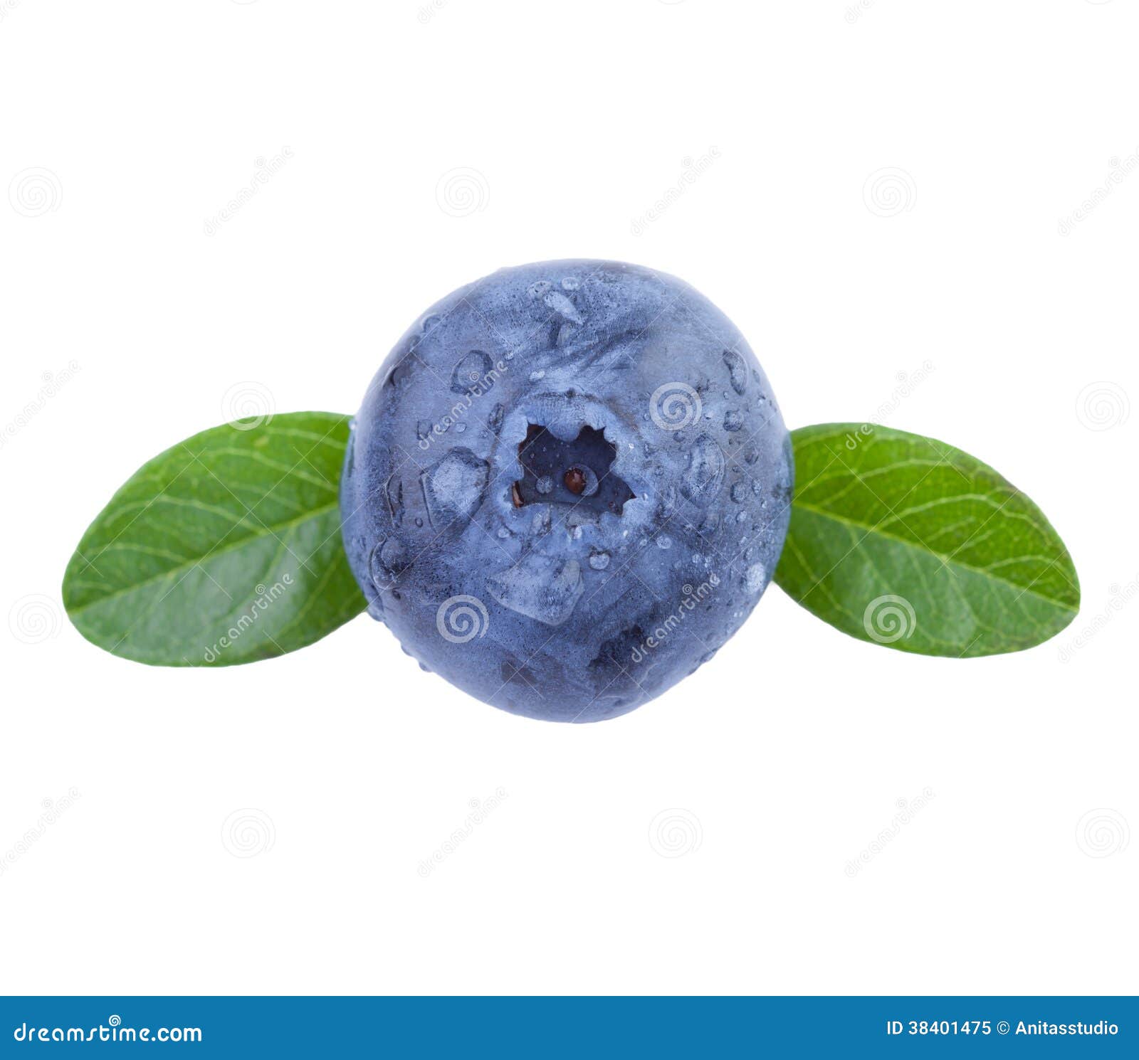 Blueberry in Close-Up stock image. Image of leaf, berry - 38401475