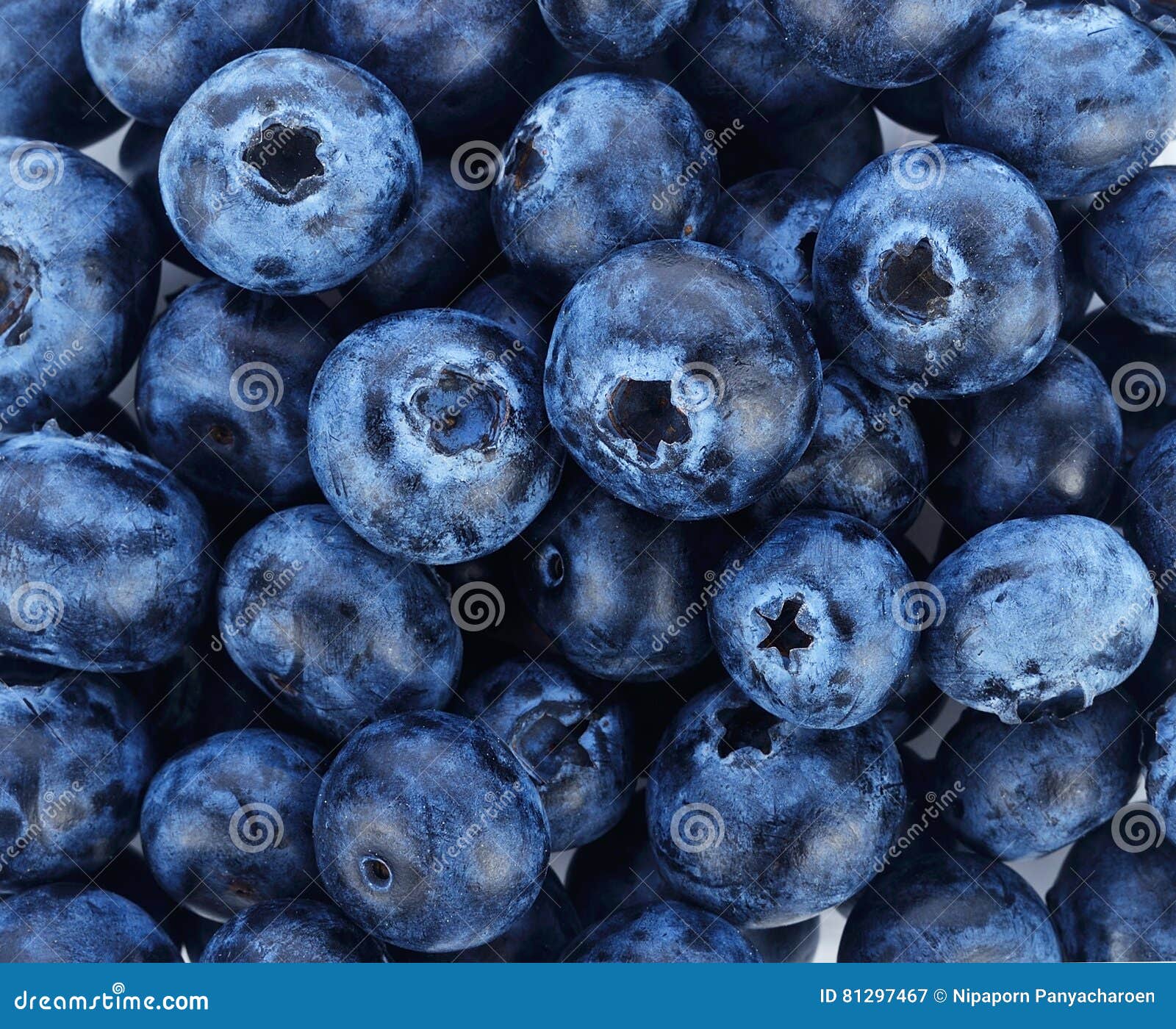 Blueberry close up stock image. Image of healthy, color - 81297467