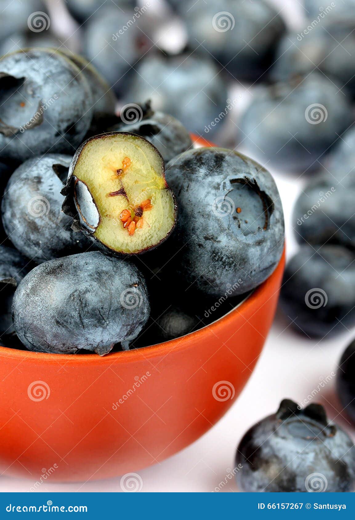 Blueberry close up stock image. Image of dessert, bowl - 66157267