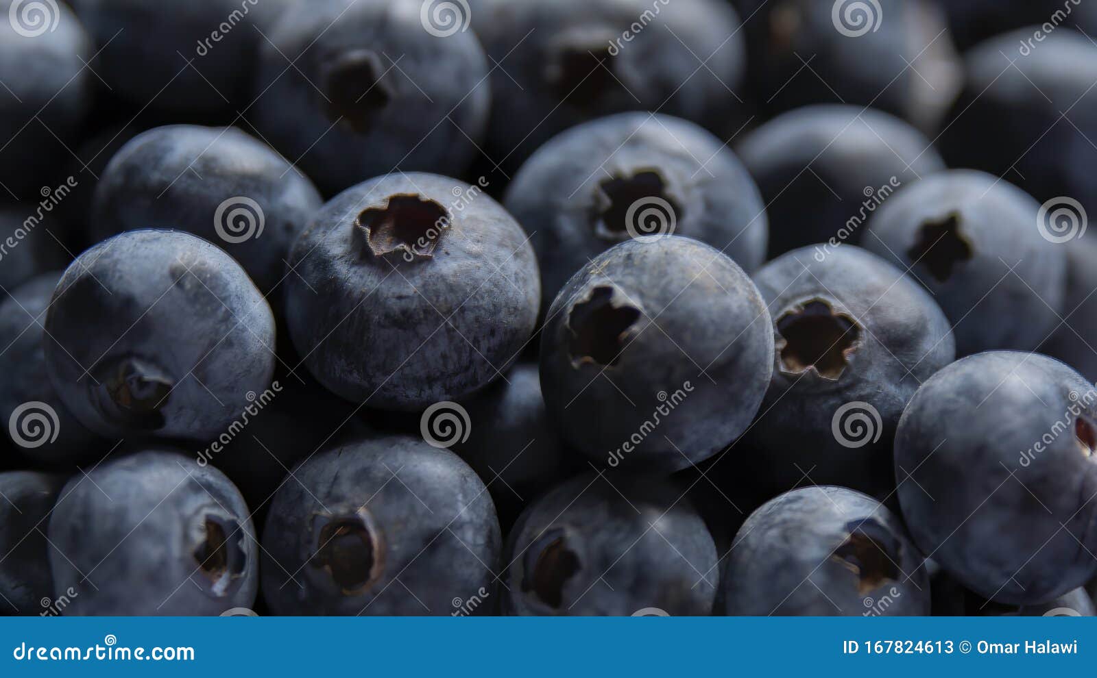 Blueberry Close Up Filled Frame Stock Image - Image of fresh, healthy ...