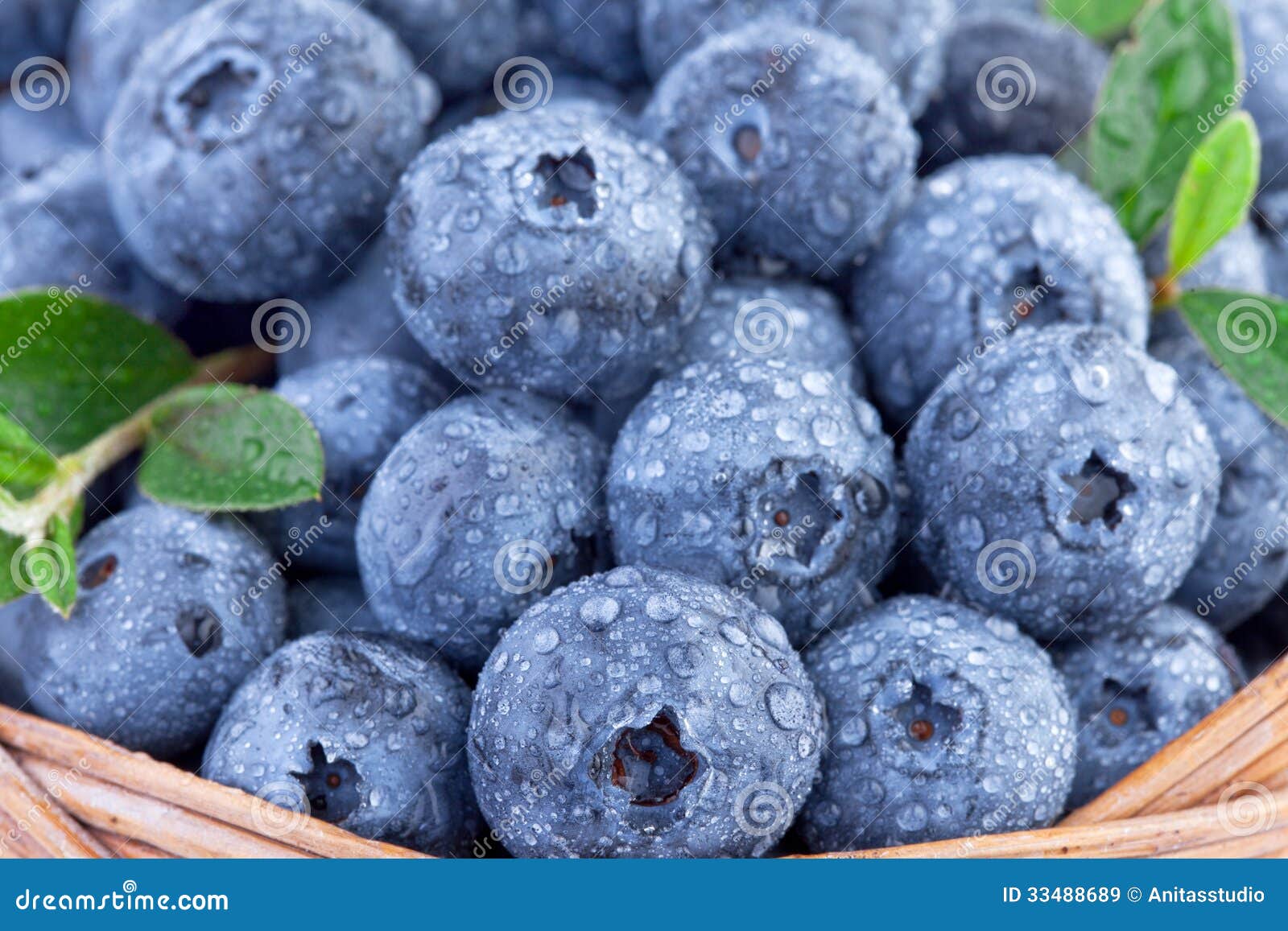 Blueberry in close up stock image. Image of blueberry - 33488689
