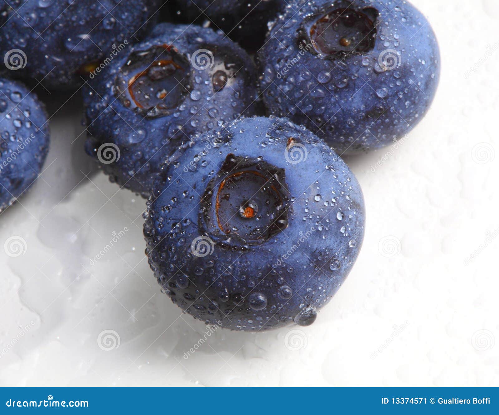 Blueberry closeup stock image. Image of nutrition, fresh - 13374571