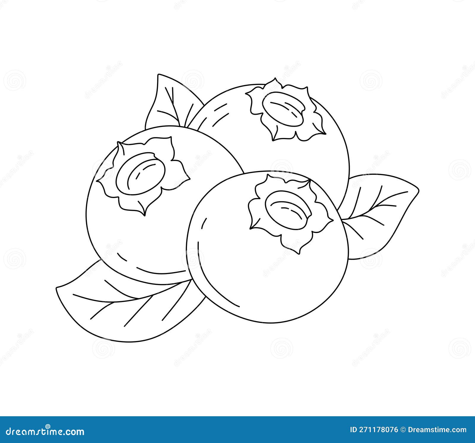 Blueberry Doodle Vector Illustration Coloring Book for Kids Stock ...