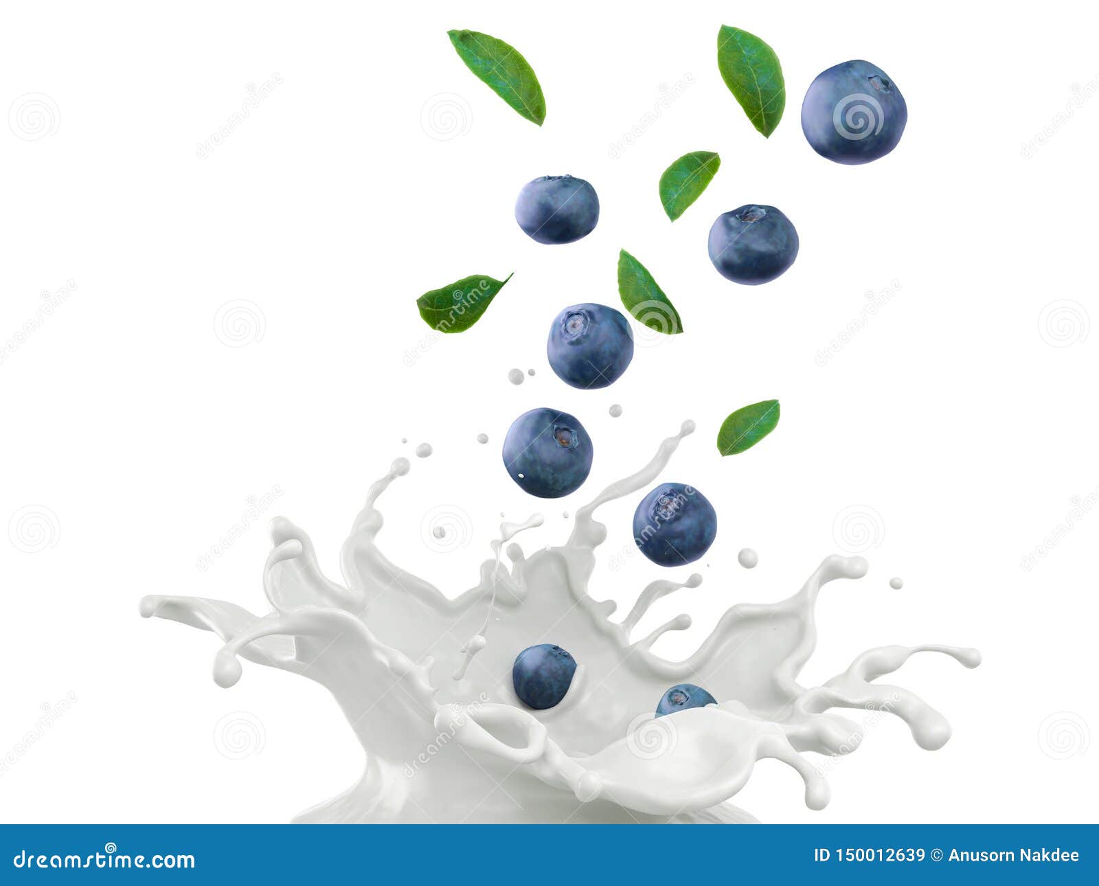 Blueberry Falling In Water Water Splash On Blue Background Stock ...