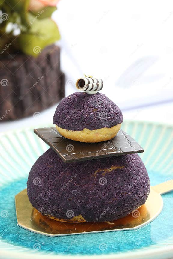 Blueberry fancy cake stock photo. Image of fruit, baked - 22451942