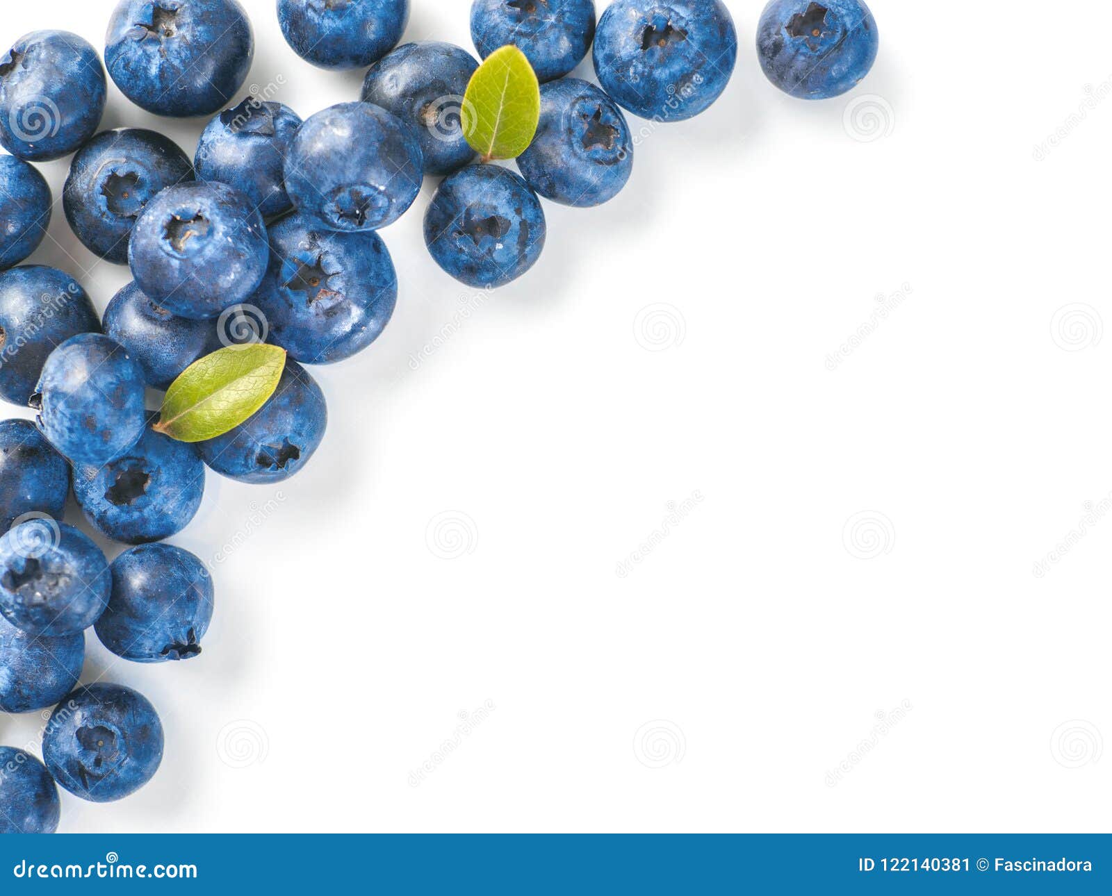 Blueberry Frame, Flat Lay, Isolated Stock Image - Image of dessert ...