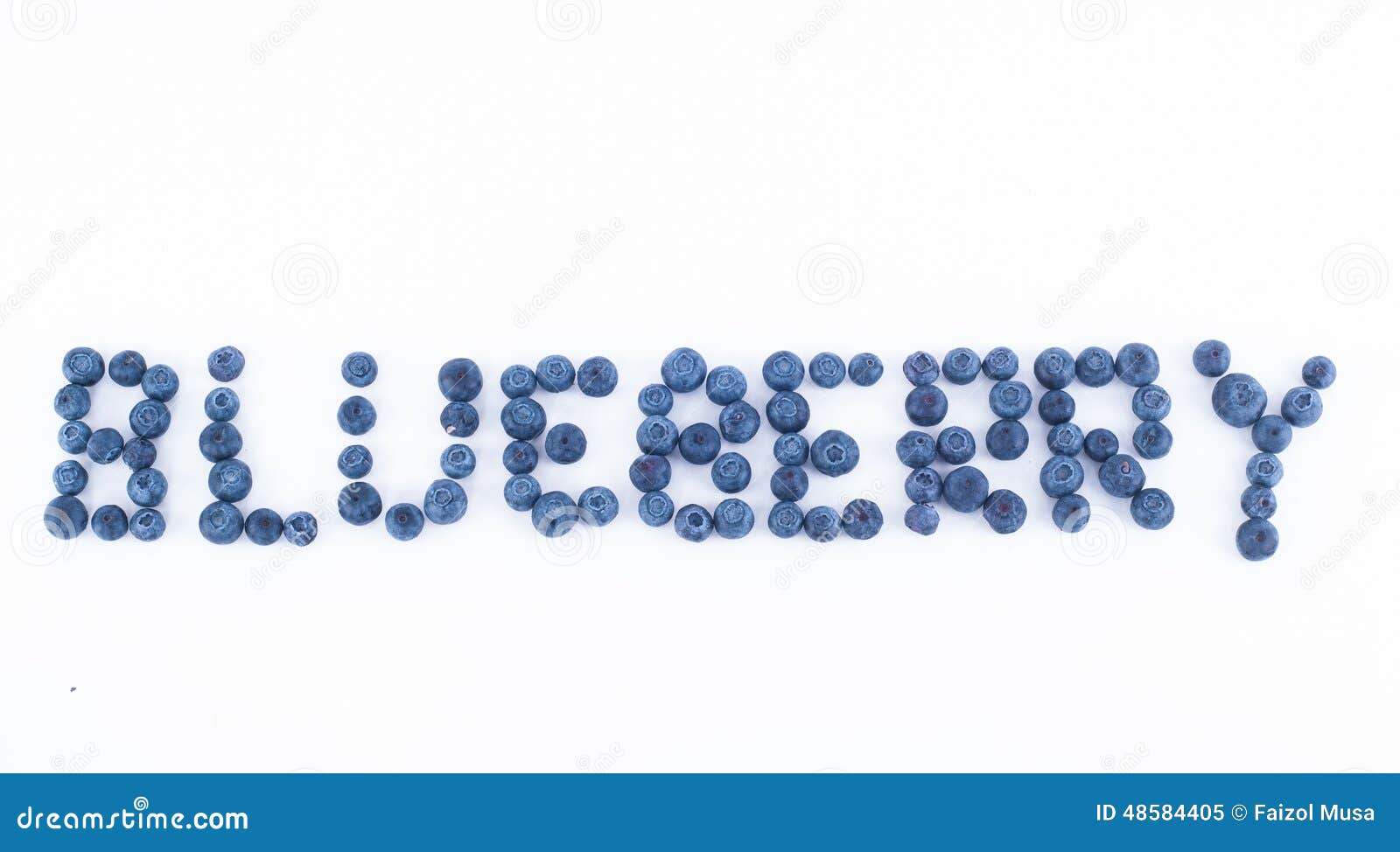 Blueberry Fruit stock image. Image of blueberry, white - 48584405