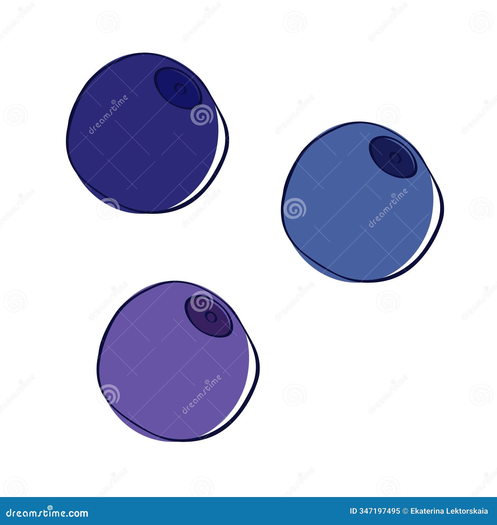 Blueberry Graphic Line Vector Illustration Isolated on White ...