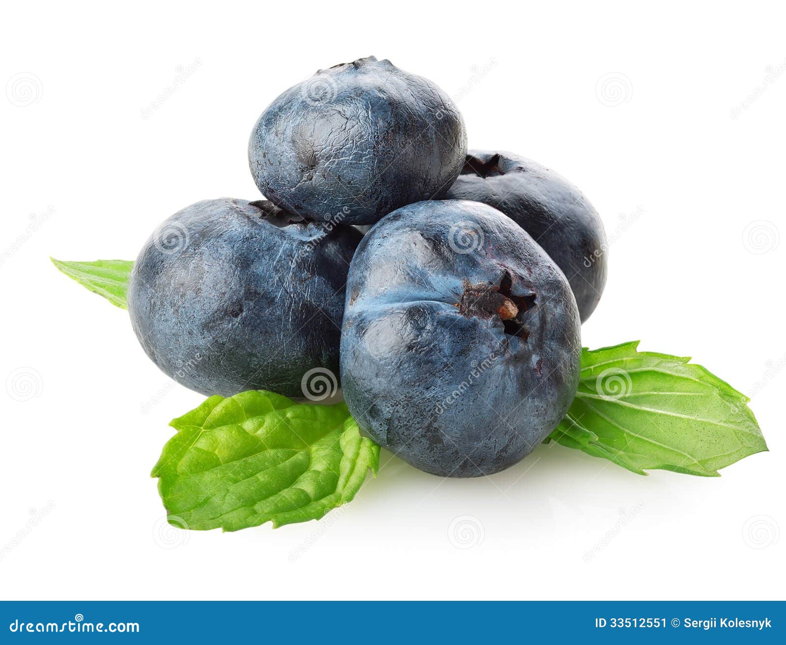 Blueberry stock image. Image of green, blueberry, leaf - 33512551