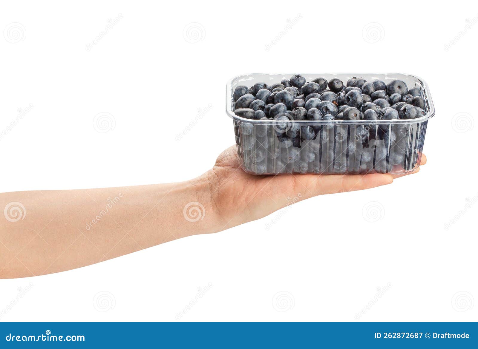 Blueberry in hand stock image. Image of fruit, nutrient - 262872687