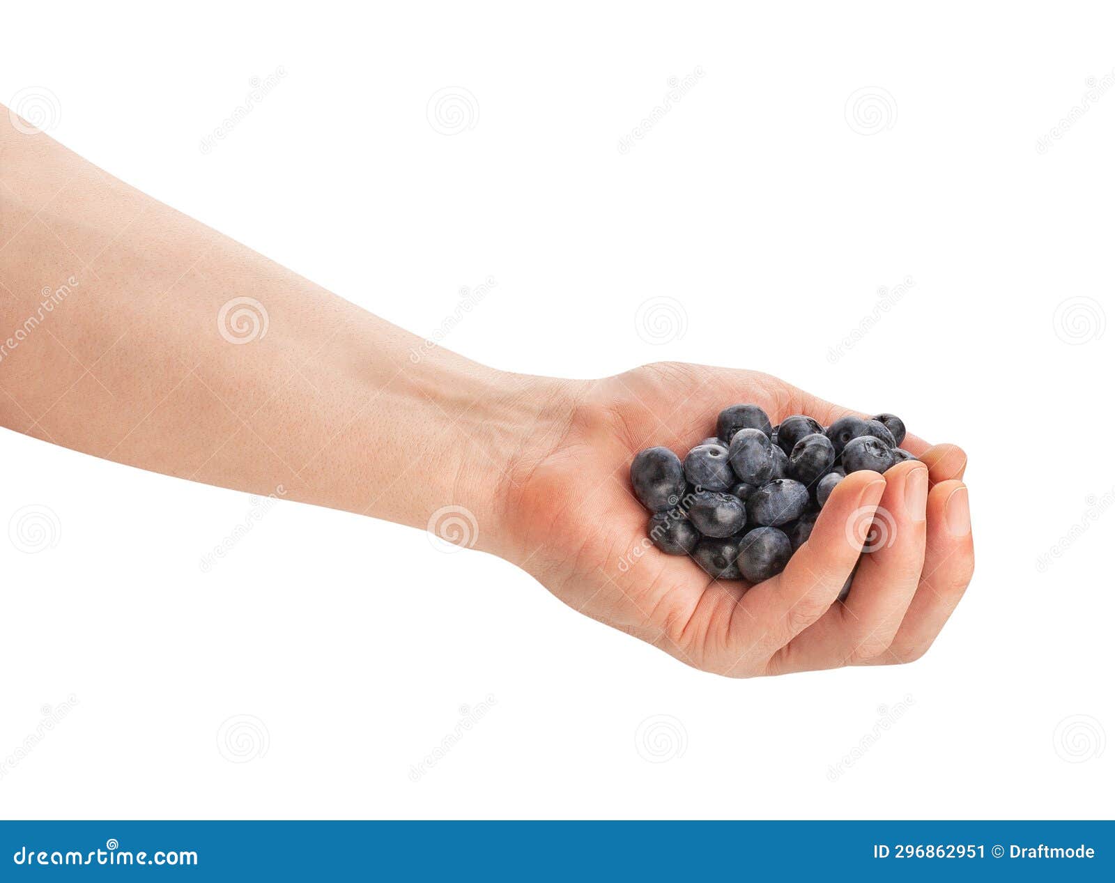 Blueberry in hand stock image. Image of antioxidant - 296862951