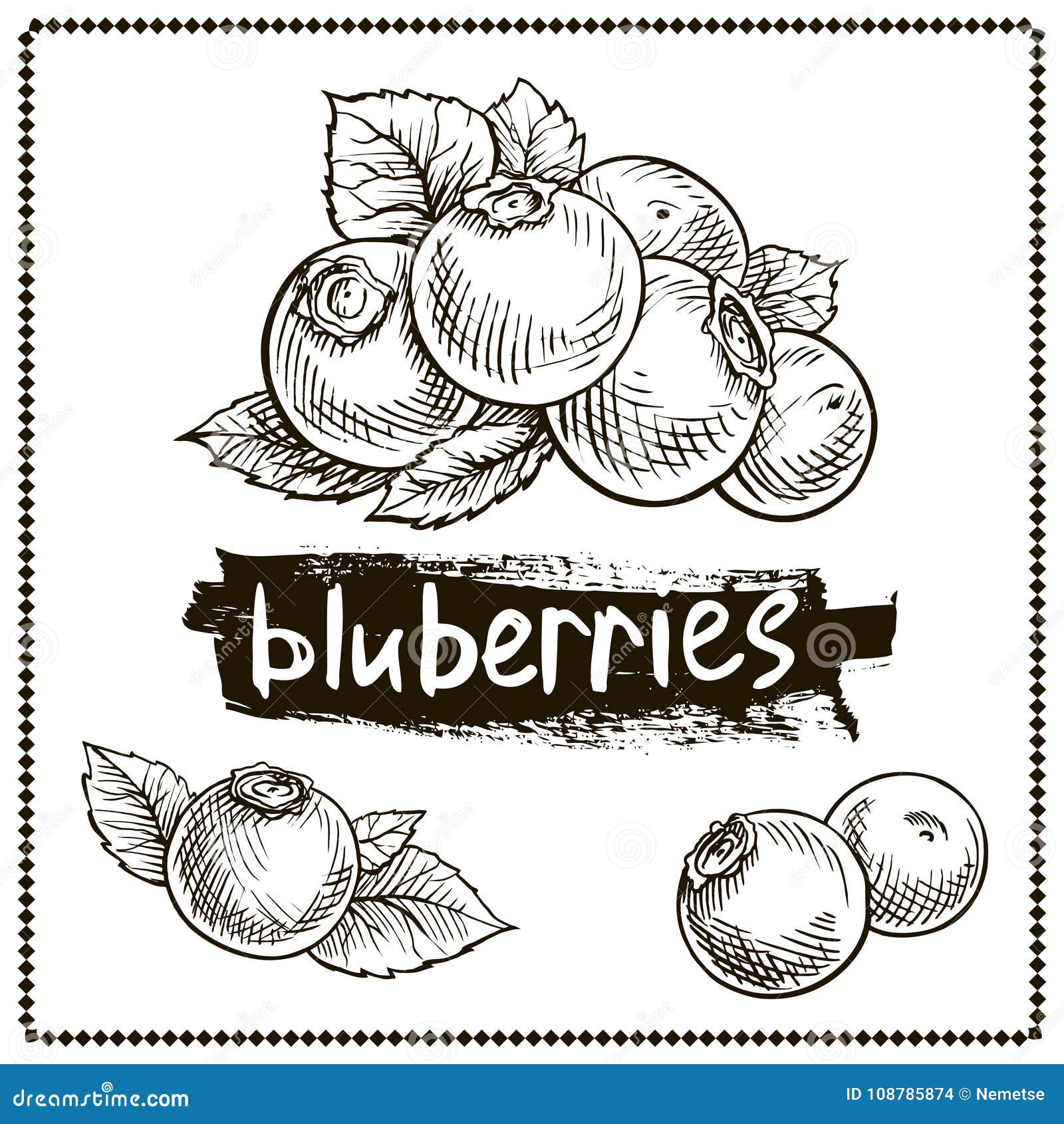 Blueberry hand drawn set stock vector. Illustration of bunch - 108785874