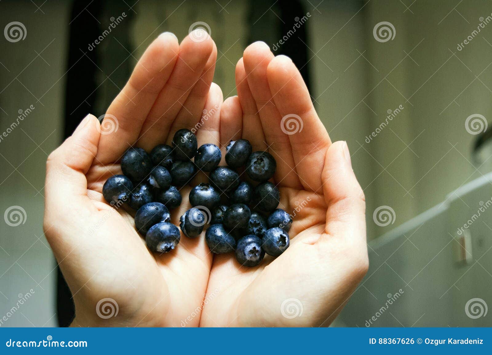Blueberry stock photo. Image of fresh, hand, naturel - 88367626