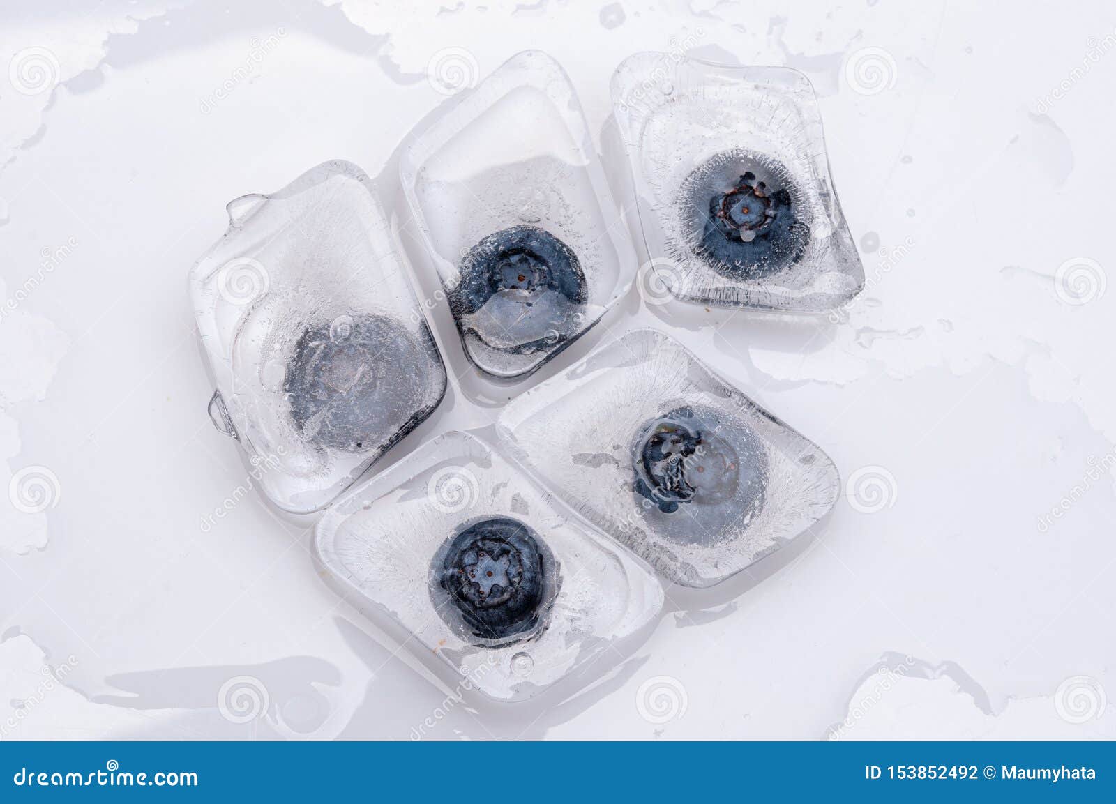 Blueberry in the ice cube stock photo. Image of healthy - 153852492