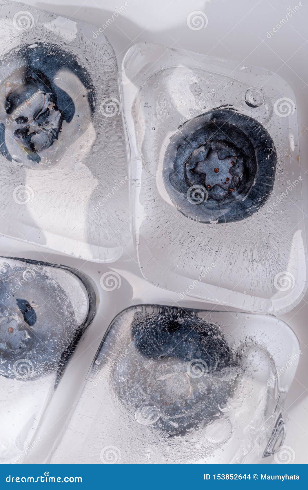 Blueberry in the ice cube stock photo. Image of clear - 153852644