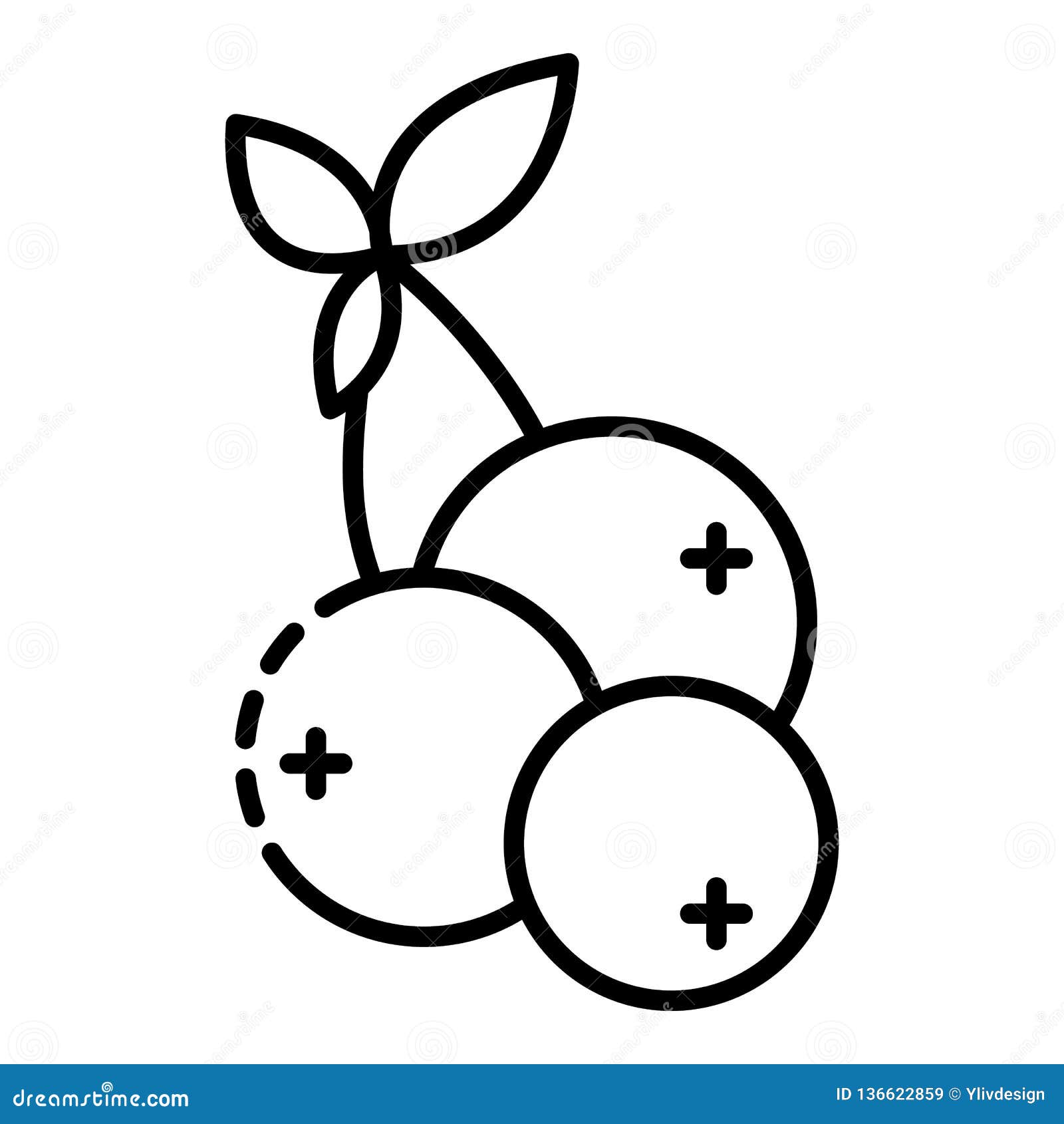 Blueberry Outline