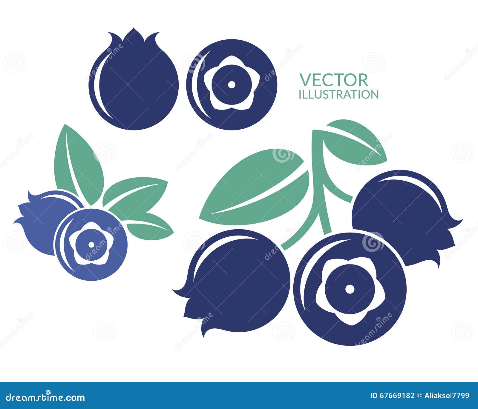 Blueberry. Icon set stock vector. Illustration of fruit - 67669182
