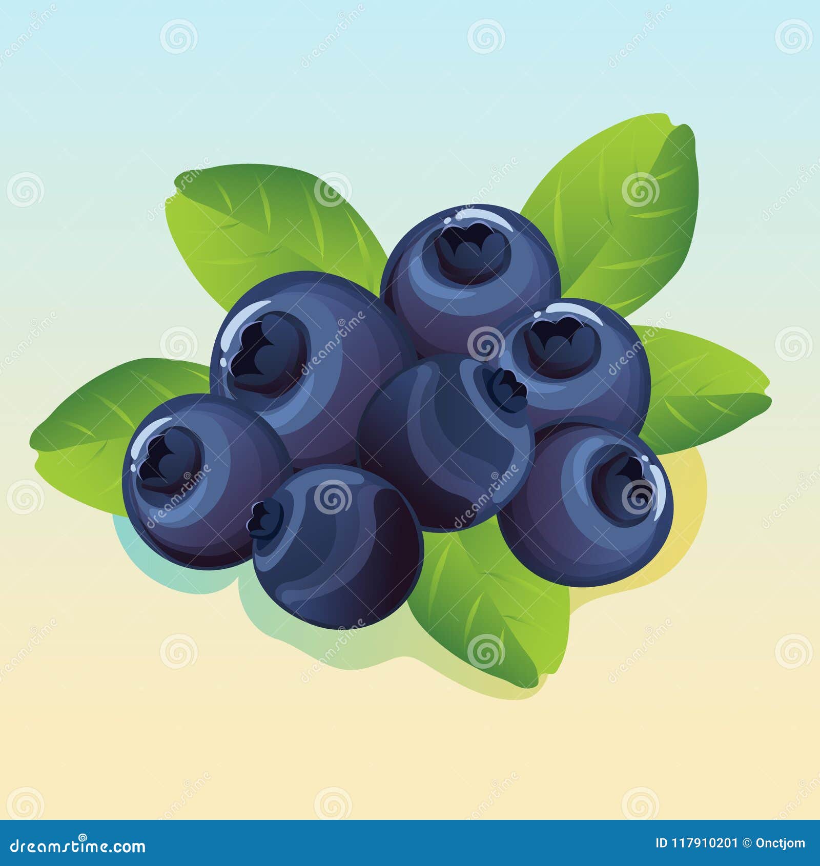 Blueberry Illustration Vector Set With Watercolor Texture And Line Art ...