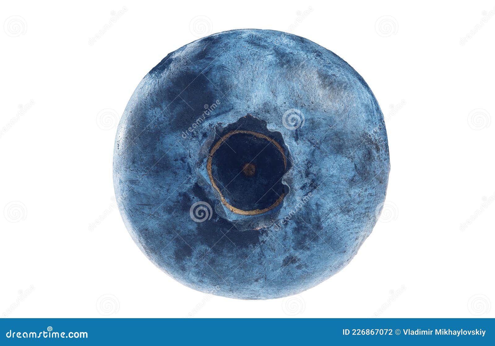 Blueberry Isolate. Ripe Big Blueberry on White Background Stock Photo ...