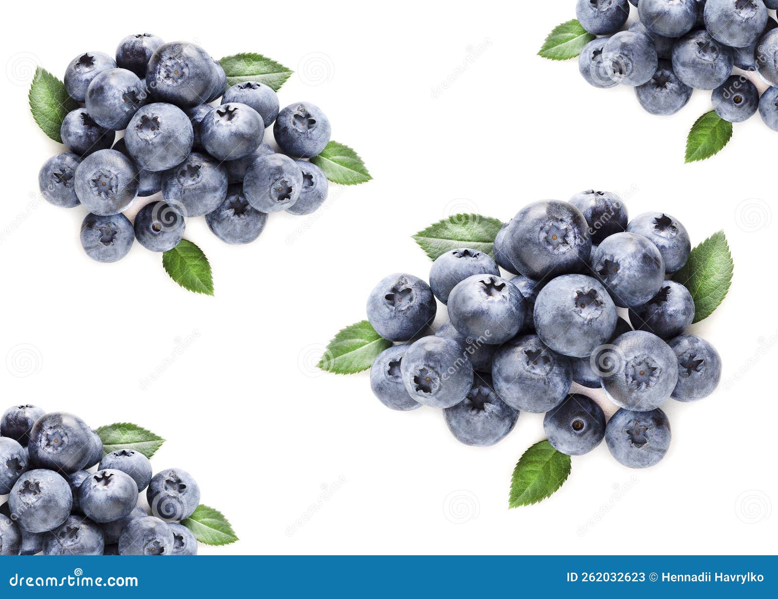 Blueberry Isolate on White. View from Above Stock Image - Image of ...