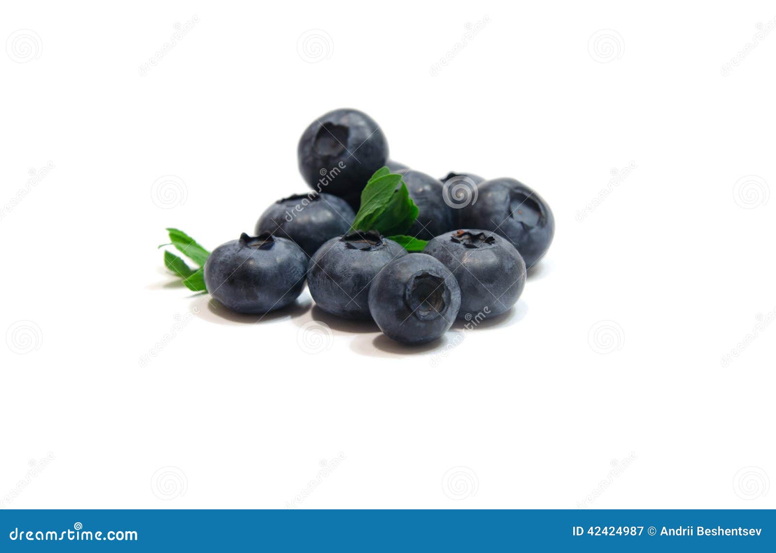 Dwarf Blueberry Bush Stock Photos - Free & Royalty-Free Stock Photos ...
