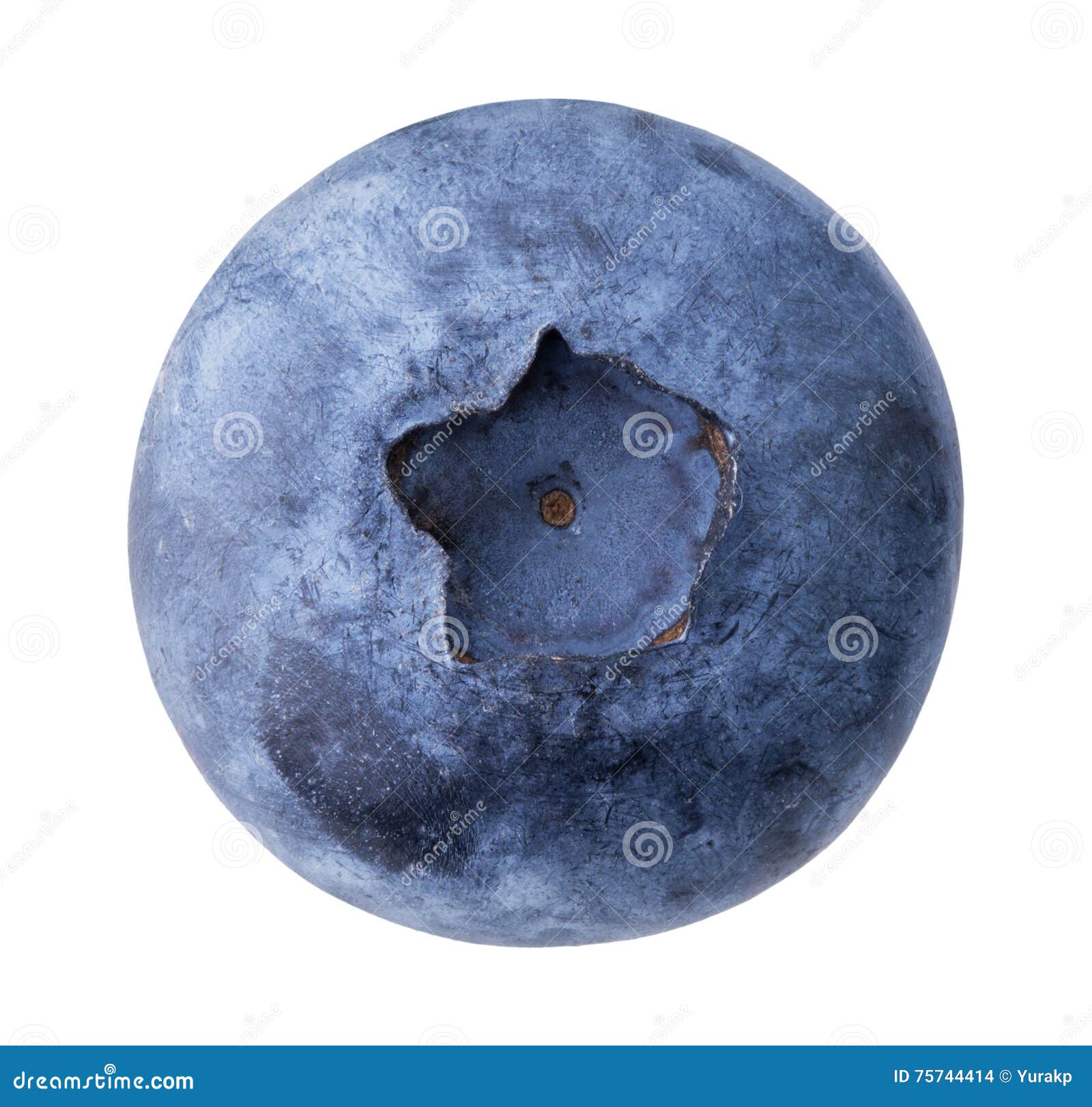 Blueberry Isolated on the White Background Stock Photo - Image of ...