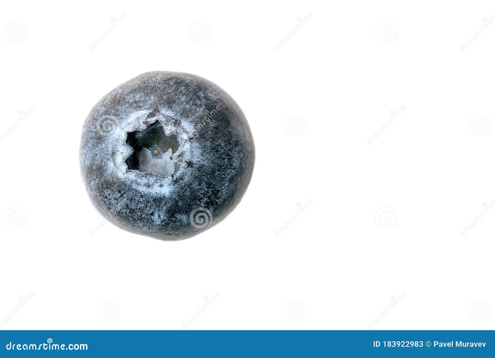 Blueberry Isolated. Blueberry on White Background. Top View Stock Image ...