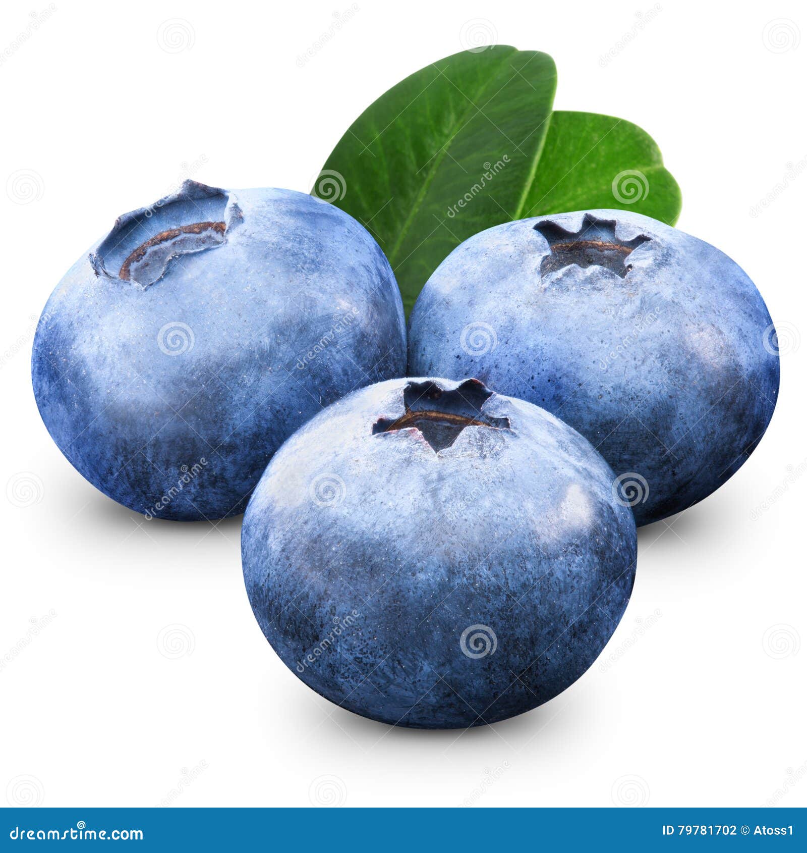 Blueberry Isolated on White Stock Photo - Image of isolate, close: 79781702