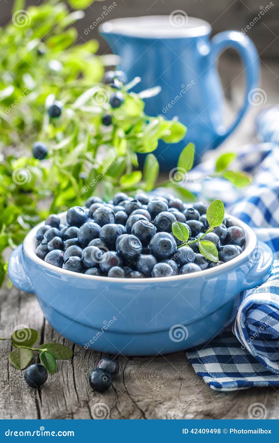 Blueberry stock photo. Image of fresh, healthy, kitchen - 42409498