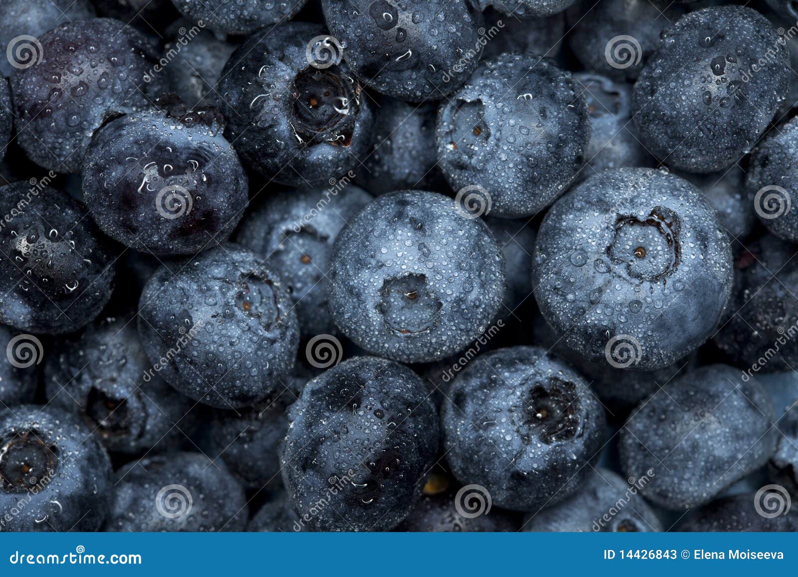 Blueberry Macro Background, Selective Focus Stock Image - Image of ...