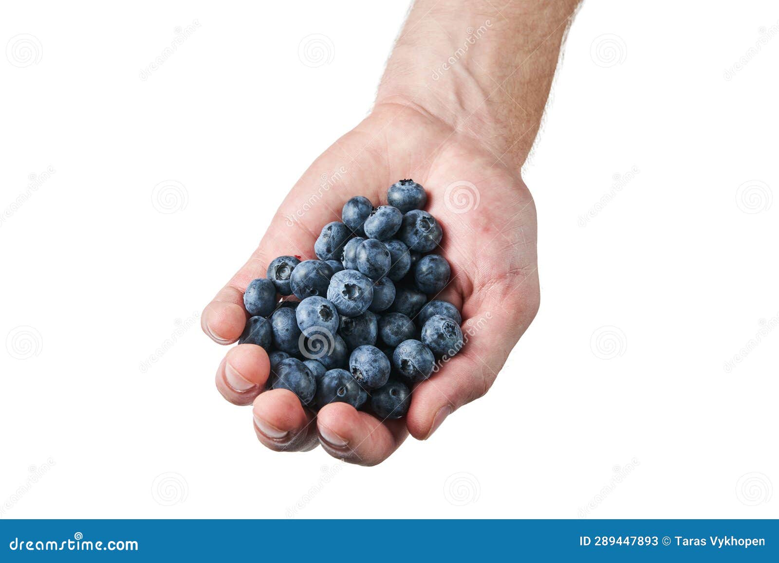 Blueberry in Man S Hand on White. Isolate Stock Image - Image of fresh ...