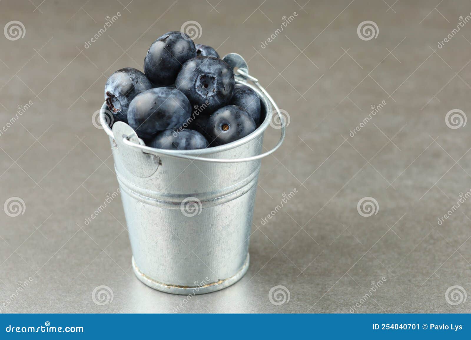A Blueberry in a Metal Bucket Stock Image - Image of ripe, healthy ...