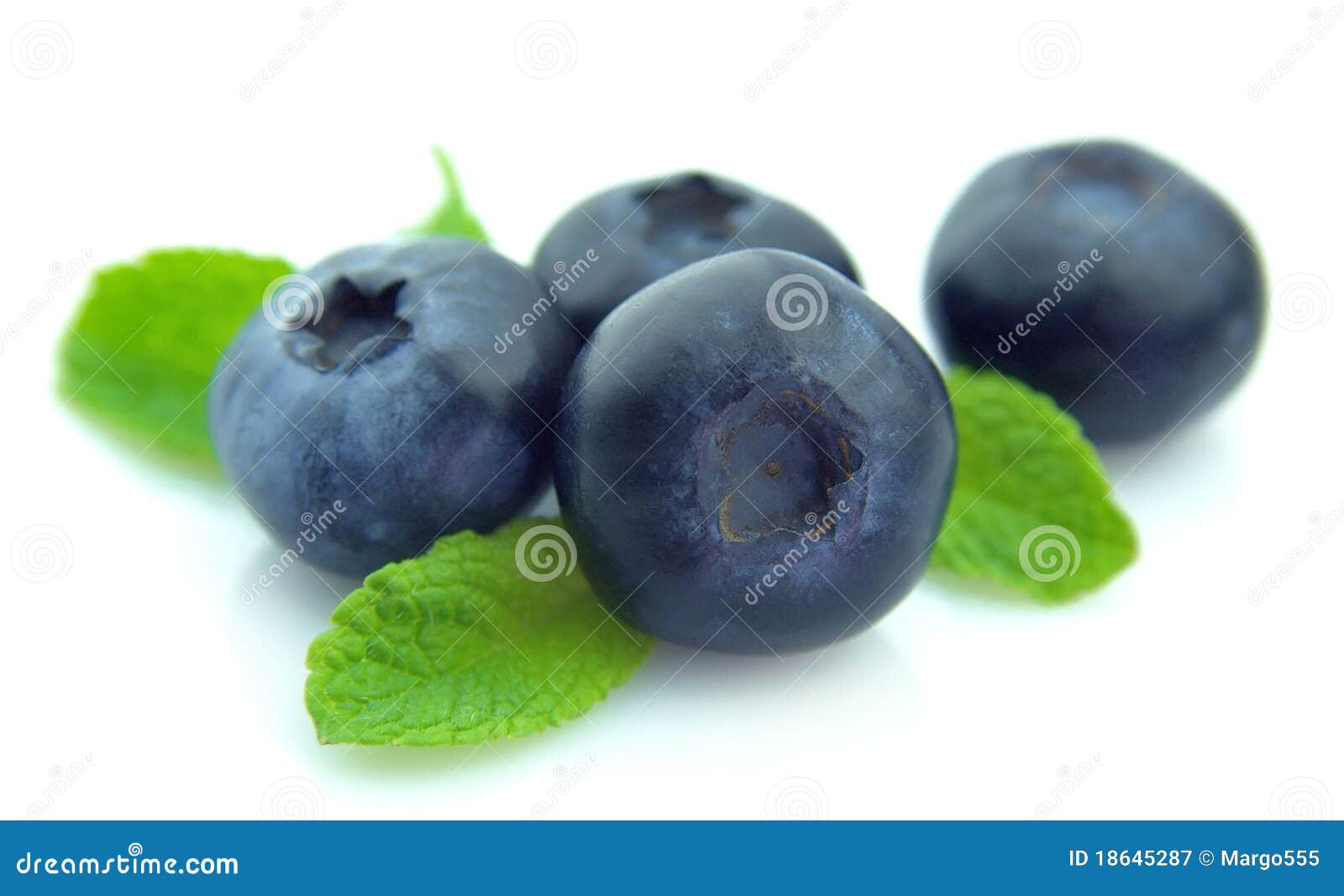 Blueberry with mint stock image. Image of plant, macro - 18645287