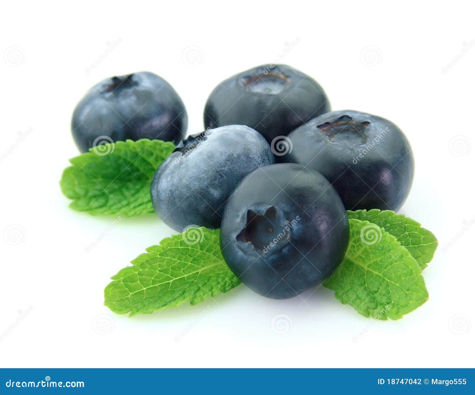 Blueberry with mint stock photo. Image of nature, healthy - 18747042