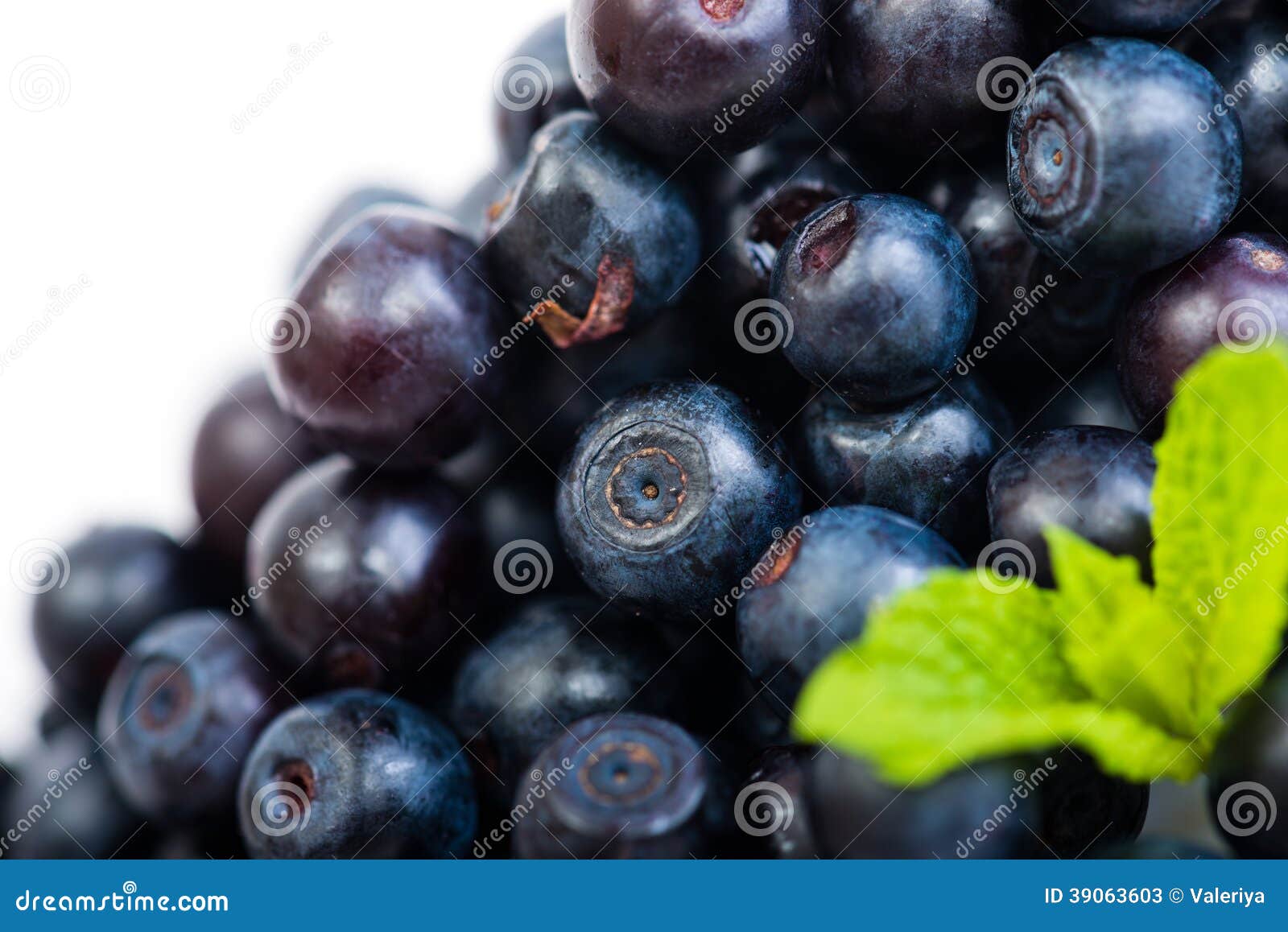 Blueberry with mint stock image. Image of berry, blue - 39063603