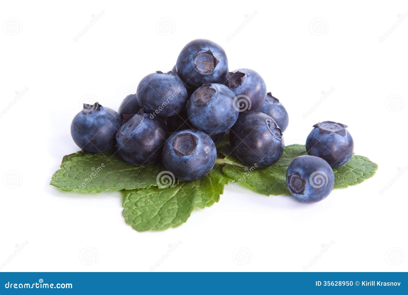 Blueberry on mint stock photo. Image of taste, heap, dessert - 35628950