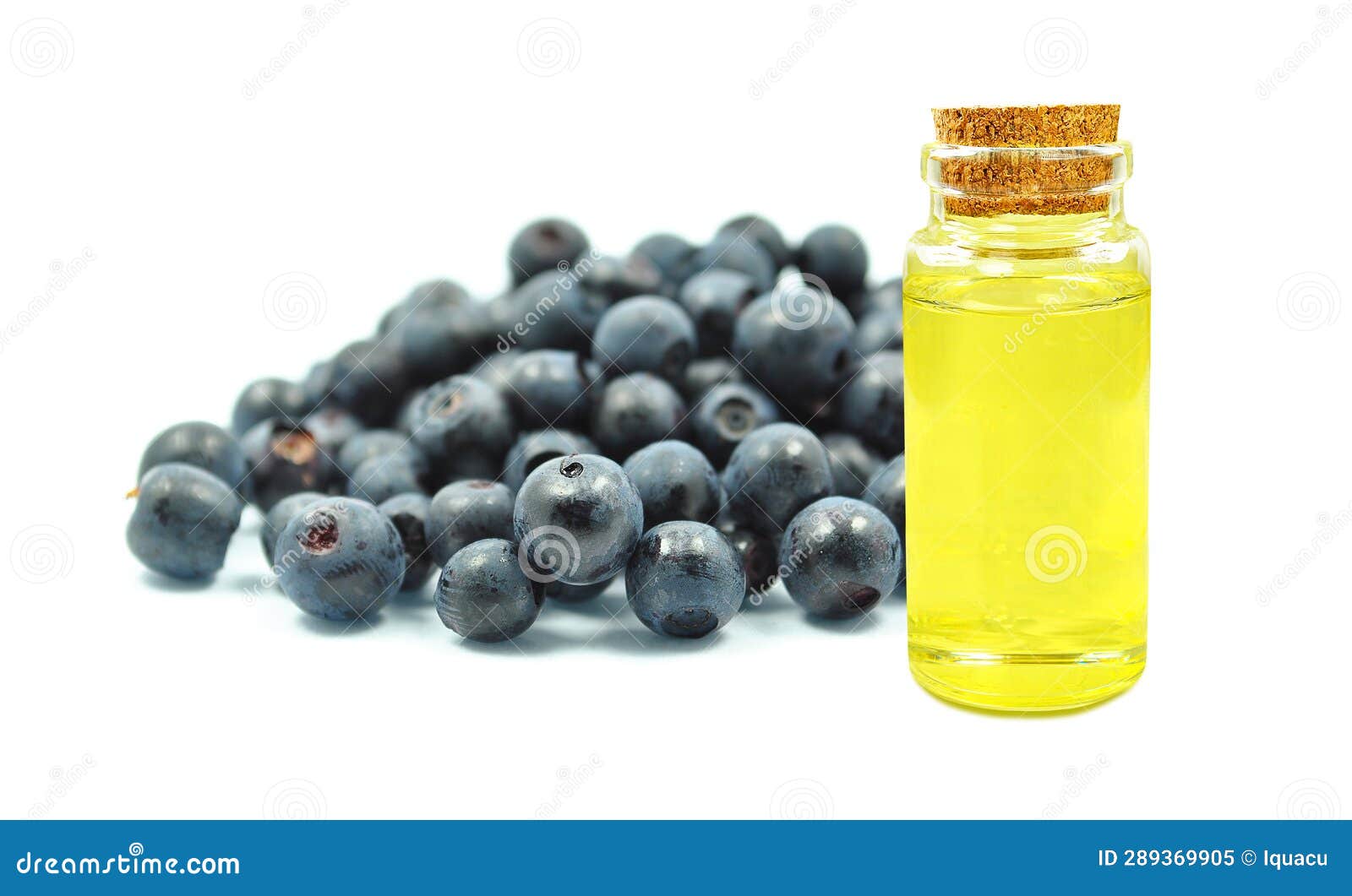 Blueberry oil stock image. Image of beauty, yellow, healthy - 289369905