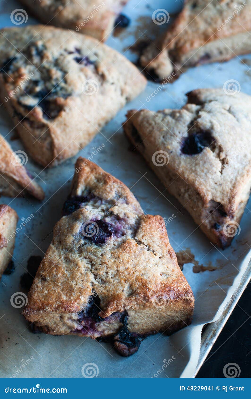 Blueberry Scones stock image. Image of delicious, white - 48229041