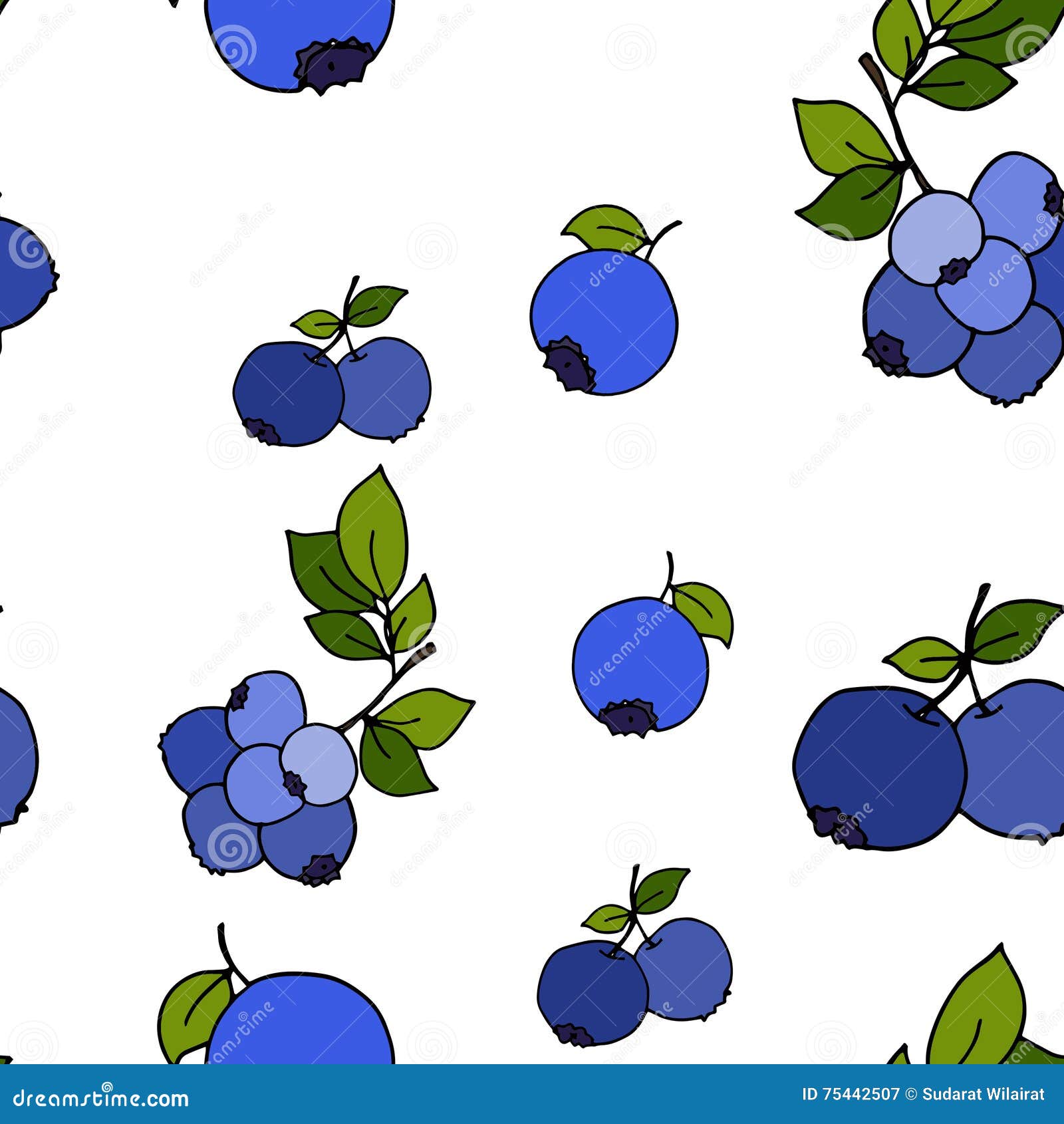 Blueberry Seamless Pattern by Hand Drawing on White Backgrounds. Stock ...