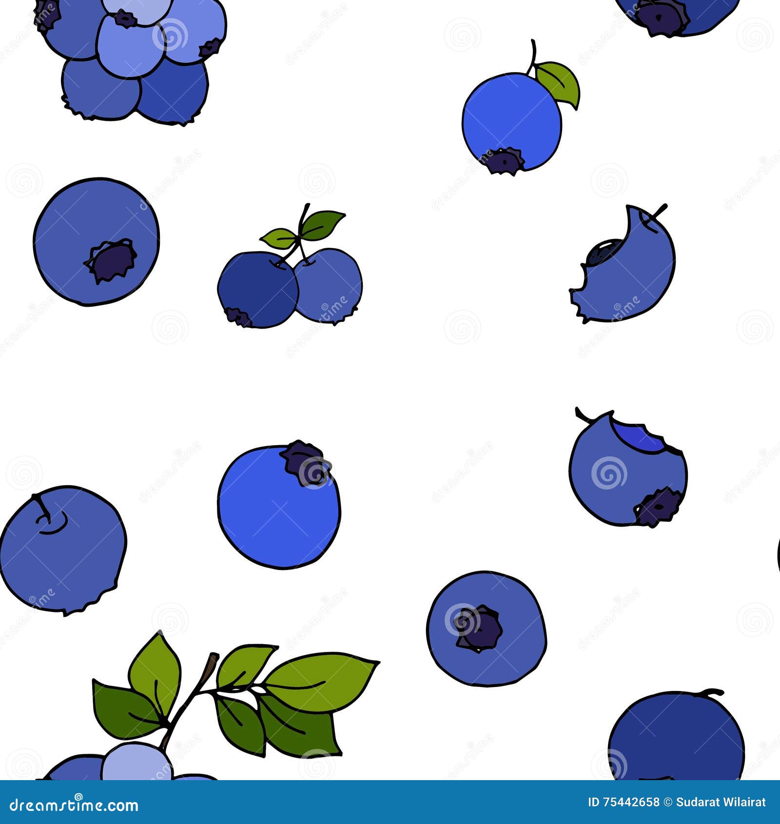 Blueberry Seamless Pattern by Hand Drawing on White Backgrounds. Stock ...