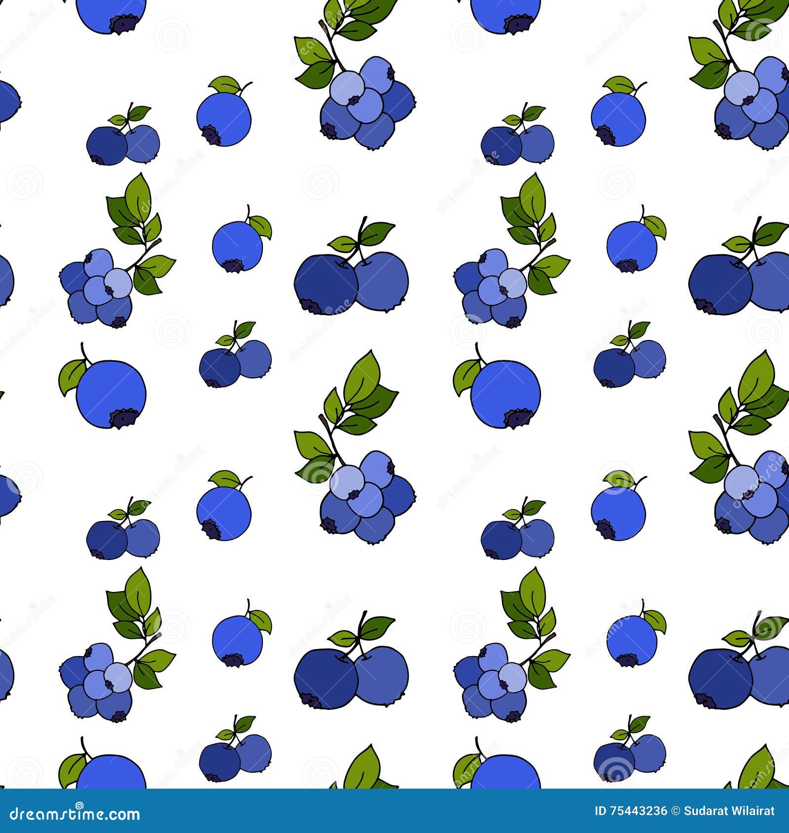 Blueberry Seamless Pattern by Hand Drawing on White Backgrounds. Stock ...