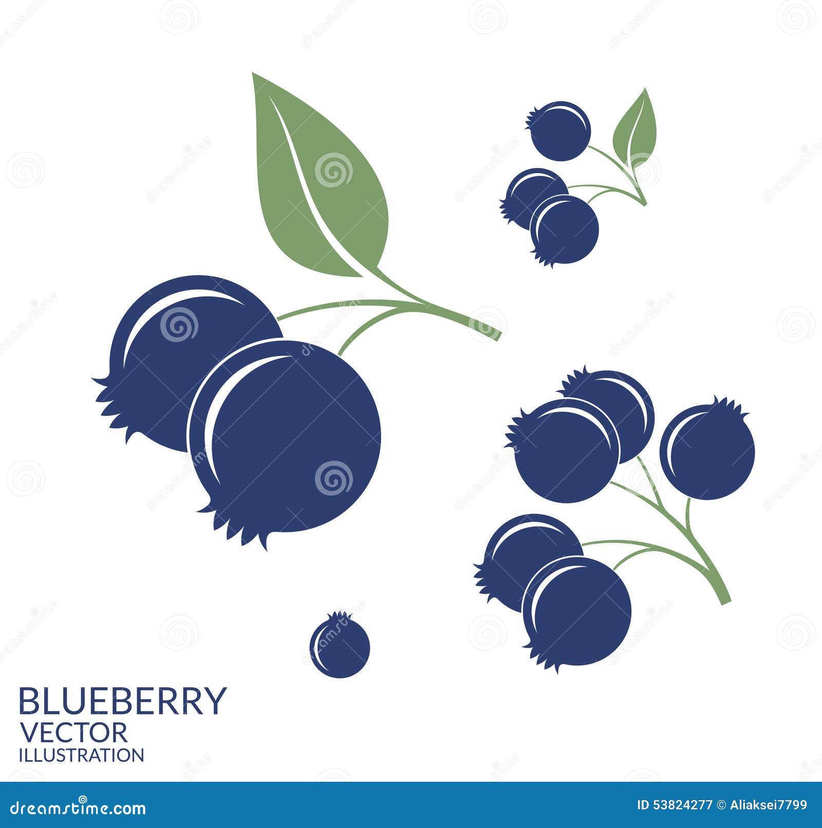 Blueberry. Set stock vector. Illustration of silhouette - 53824277