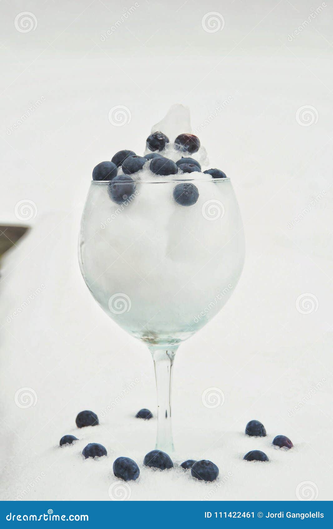 Blueberry in the snow stock image. Image of winter, fruit - 111422461